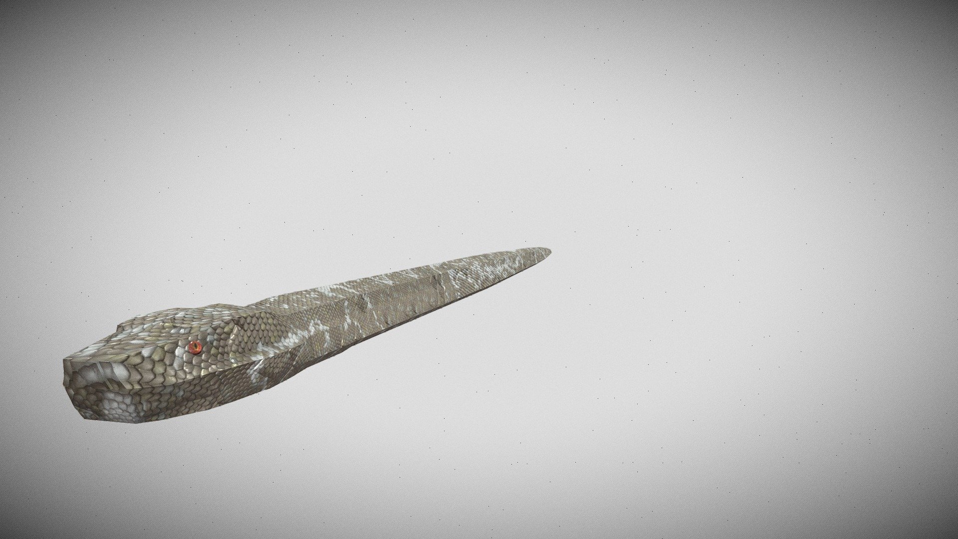 Snake [Low Poly] - Download Free 3D model by endbored [f9c8ea5] - Sketchfab