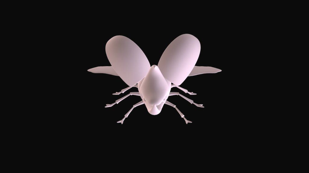 Beetle - 3D model by Streak Thunderstorm (@streakthunderstorm) [f9cef95 ...