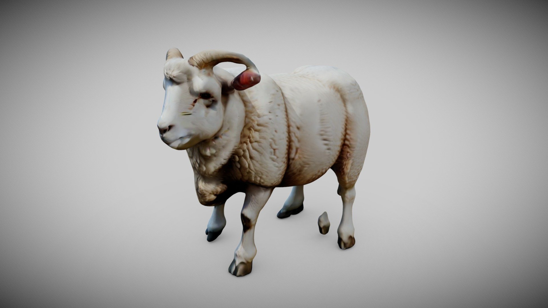 Gros mouton plein de laines - Download Free 3D model by trigrou ...