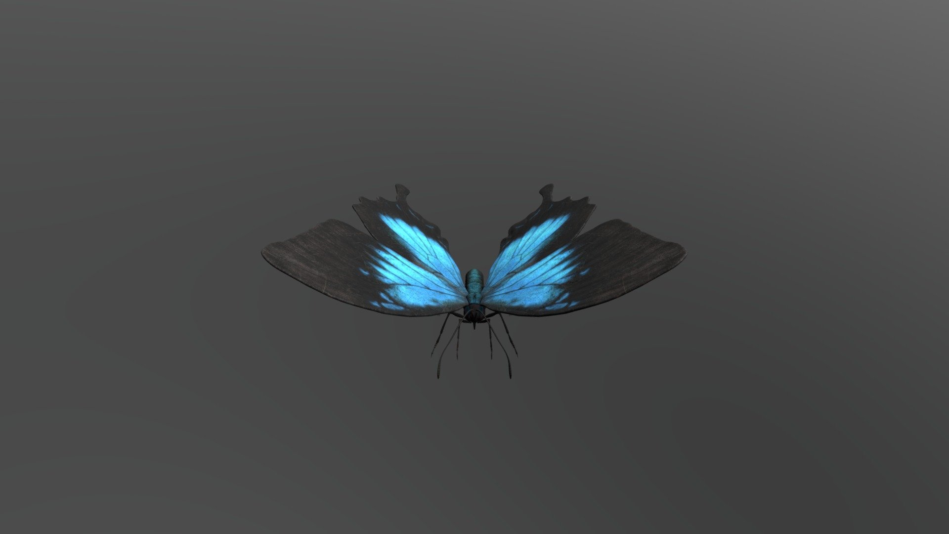 Butterfly 1 - 3D model by micahhartog [f9e12e6] - Sketchfab