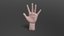 Realistic hand training - Download Free 3D model by Luís Augusto ...