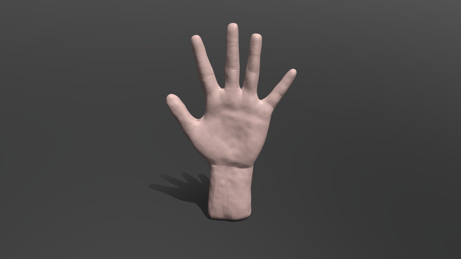 Realistic hand training - Download Free 3D model by Luís Augusto ...