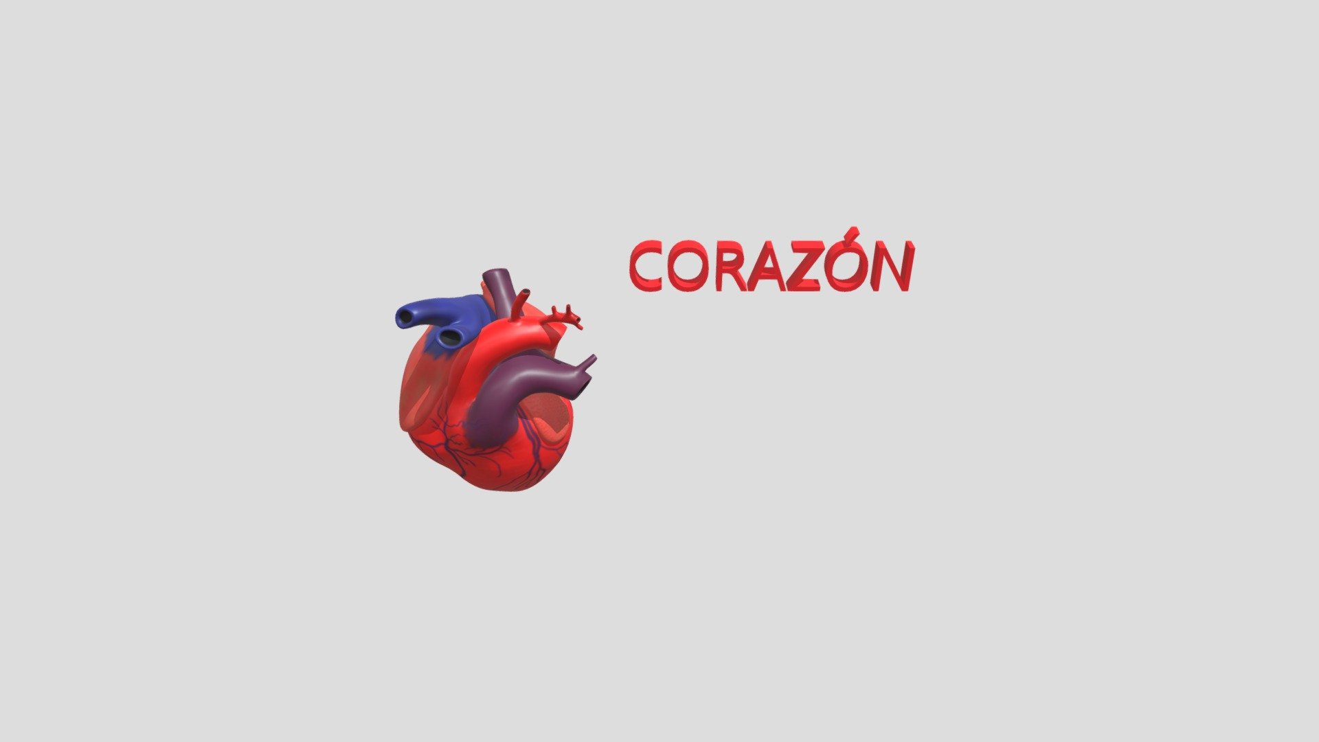 CORAZON - 3D model by jennychanataxi1986 [f9f5336] - Sketchfab