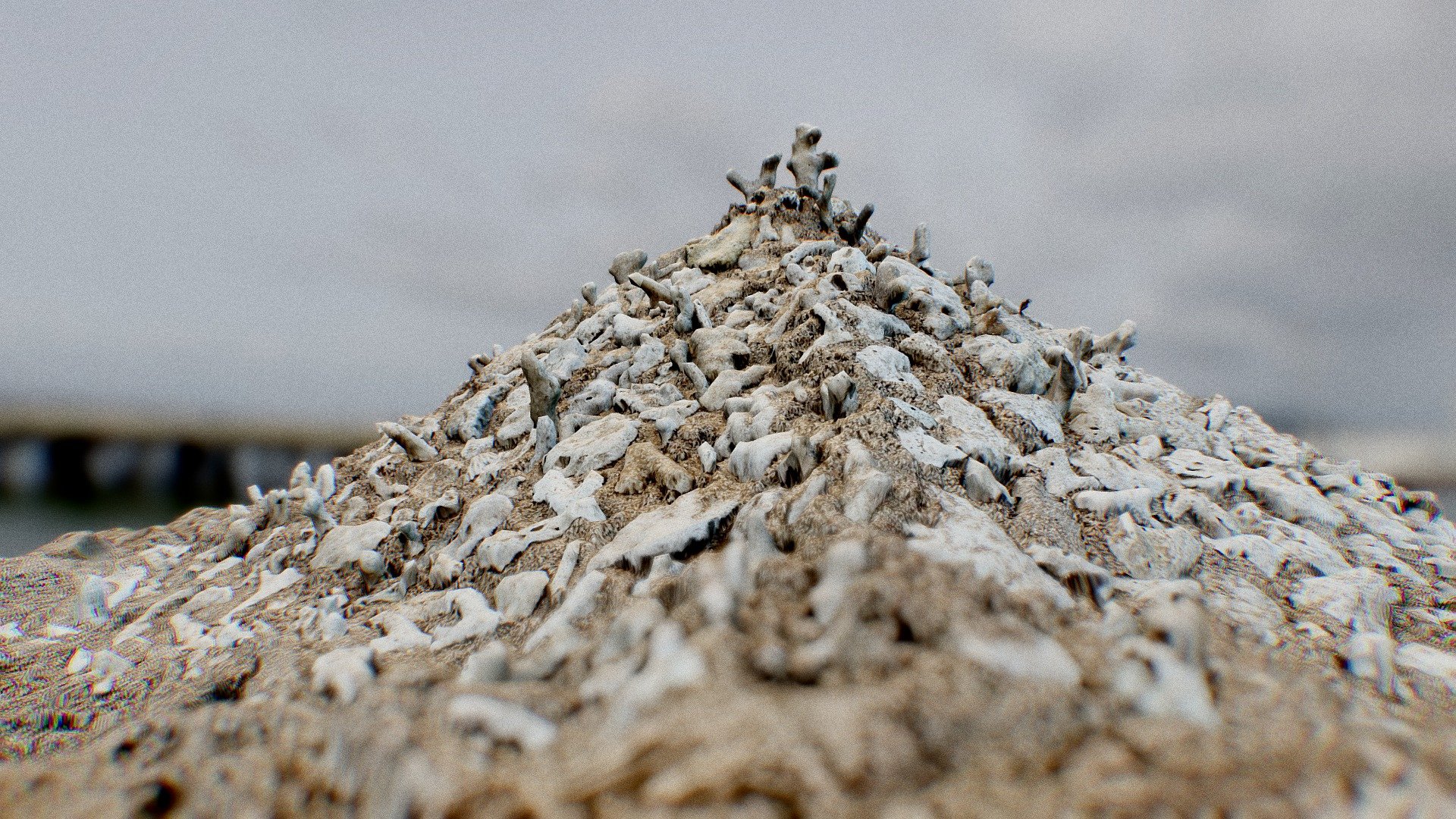 Coral pyramid - 3D model by yskm [f9fa4df] - Sketchfab