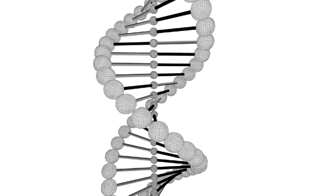 binary dna - 3D model by YannAsset [fCHvLkJ] - Sketchfab