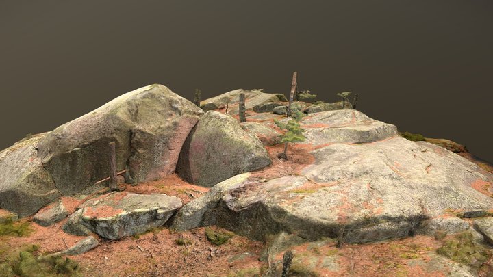 Terrain-scan 3D models - Sketchfab