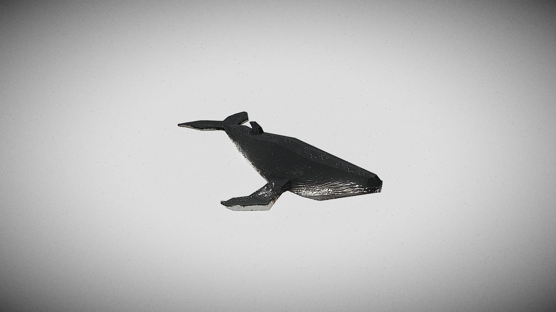 Humpback Whale - low poly - 3D model by RQuinan [fa12135] - Sketchfab
