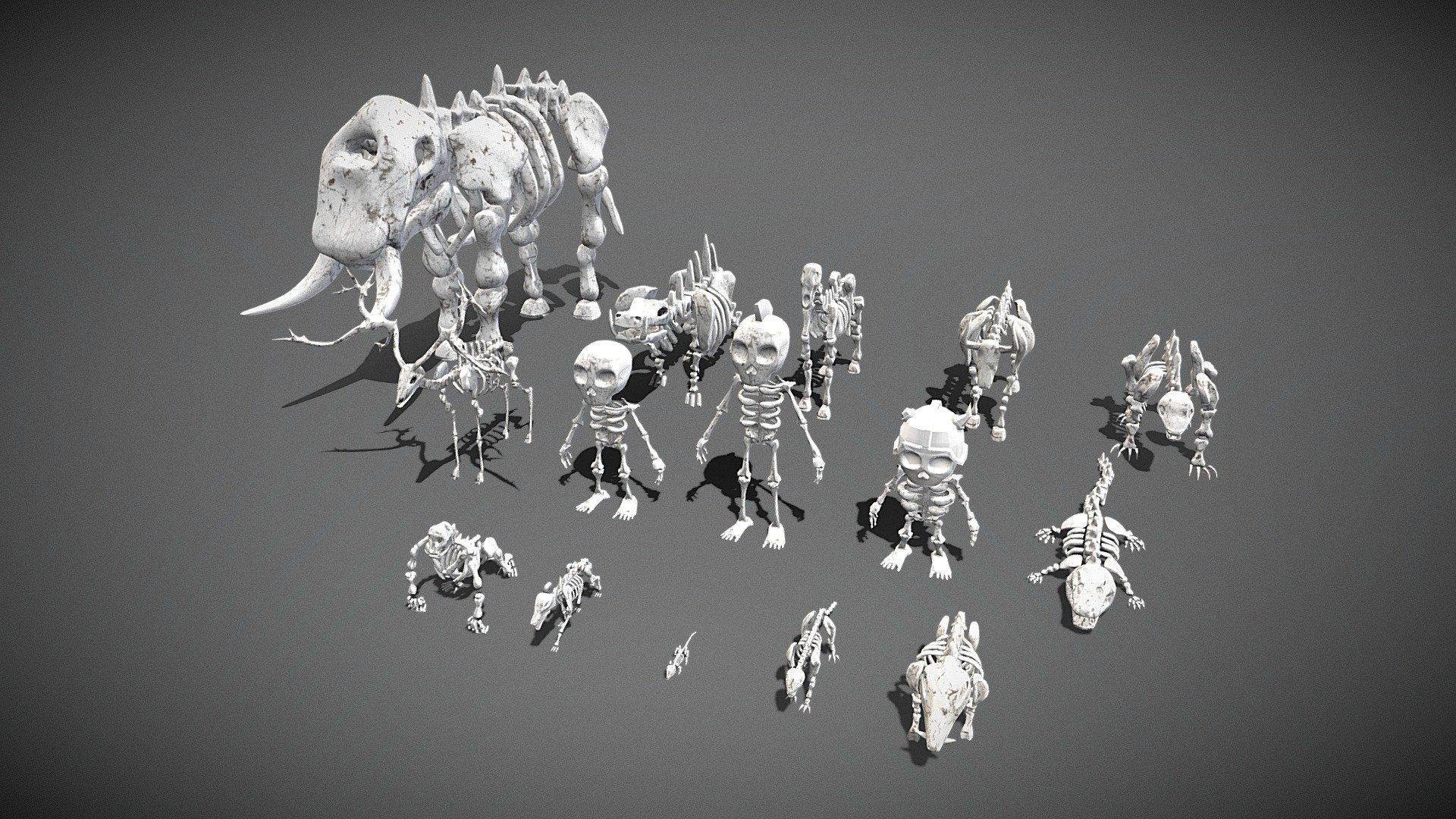 Skeleton Package - Buy Royalty Free 3D model by Zhang Shangbin ...