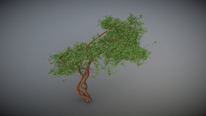Leaf 3D models - Sketchfab