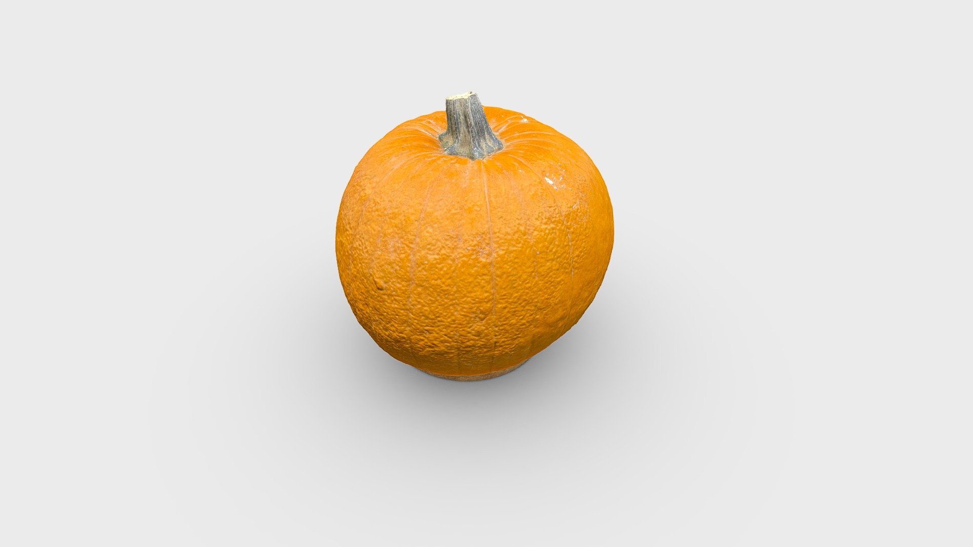Pumpkin season - Download Free 3D model by Zoltanfood [fa1bf96] - Sketchfab