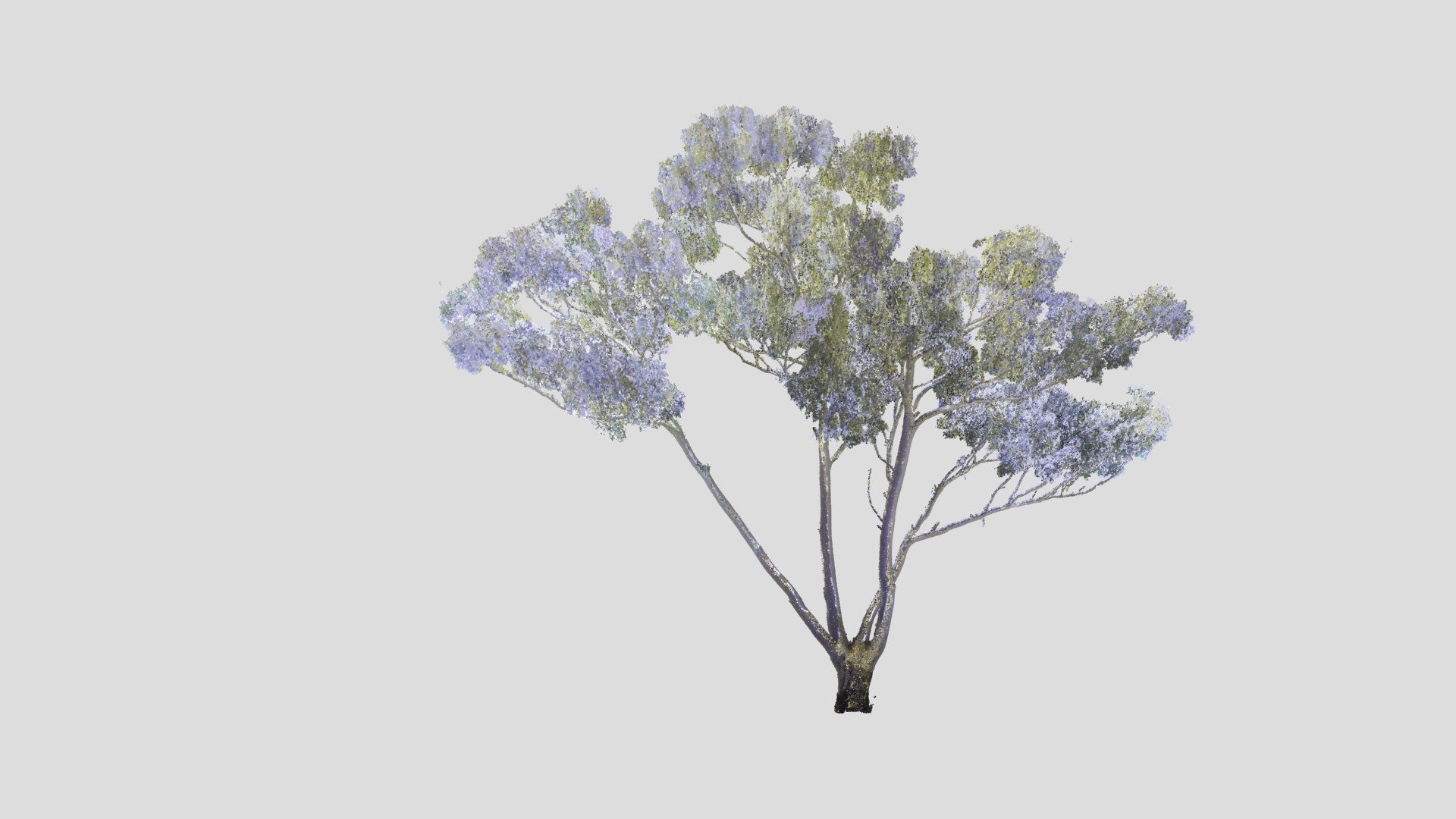 Tree Point Cloud - Buy Royalty Free 3D model by magnum_opus (@tree ...