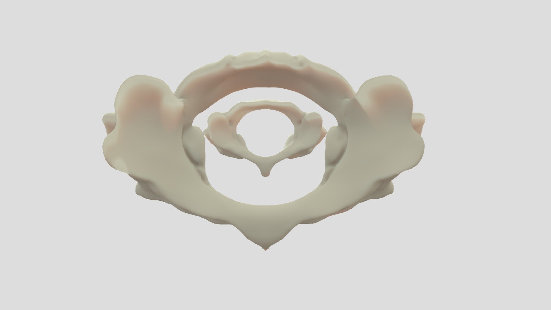 Comparison between Atlasses - 3D model by Mieke Roth (@miekeroth ...