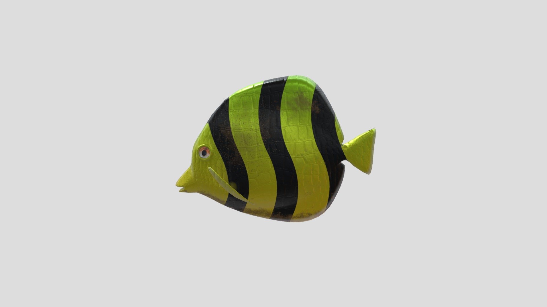 Fish Bro - Download Free 3D model by joejoe1111 [fa223a9] - Sketchfab