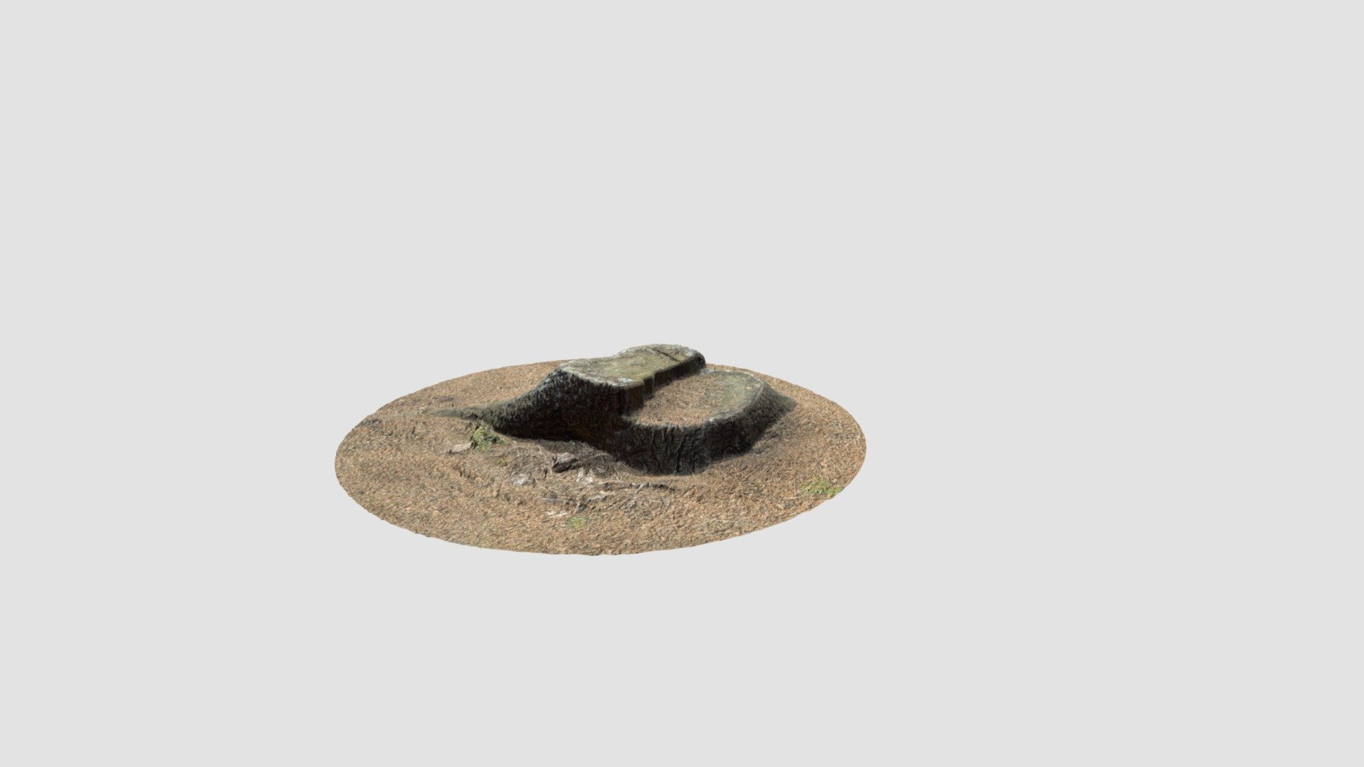 forest element - Buy Royalty Free 3D model by Evermotion [fa32160 ...