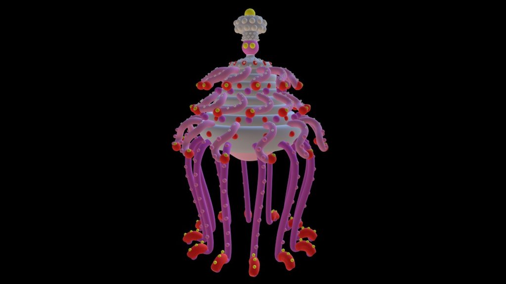 Tan'cha - Download Free 3D model by Sensorama Lab (@SensoramaLab ...