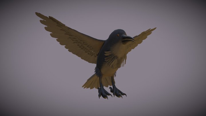 Raven 3D models - Sketchfab