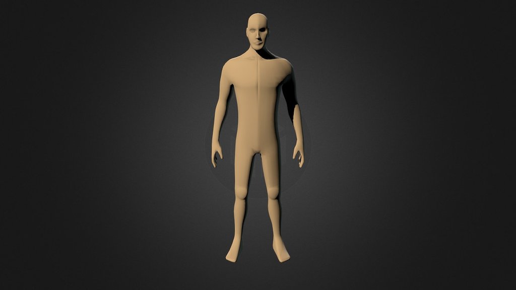 base human body - 3D model by sam146 [fa49fe7] - Sketchfab