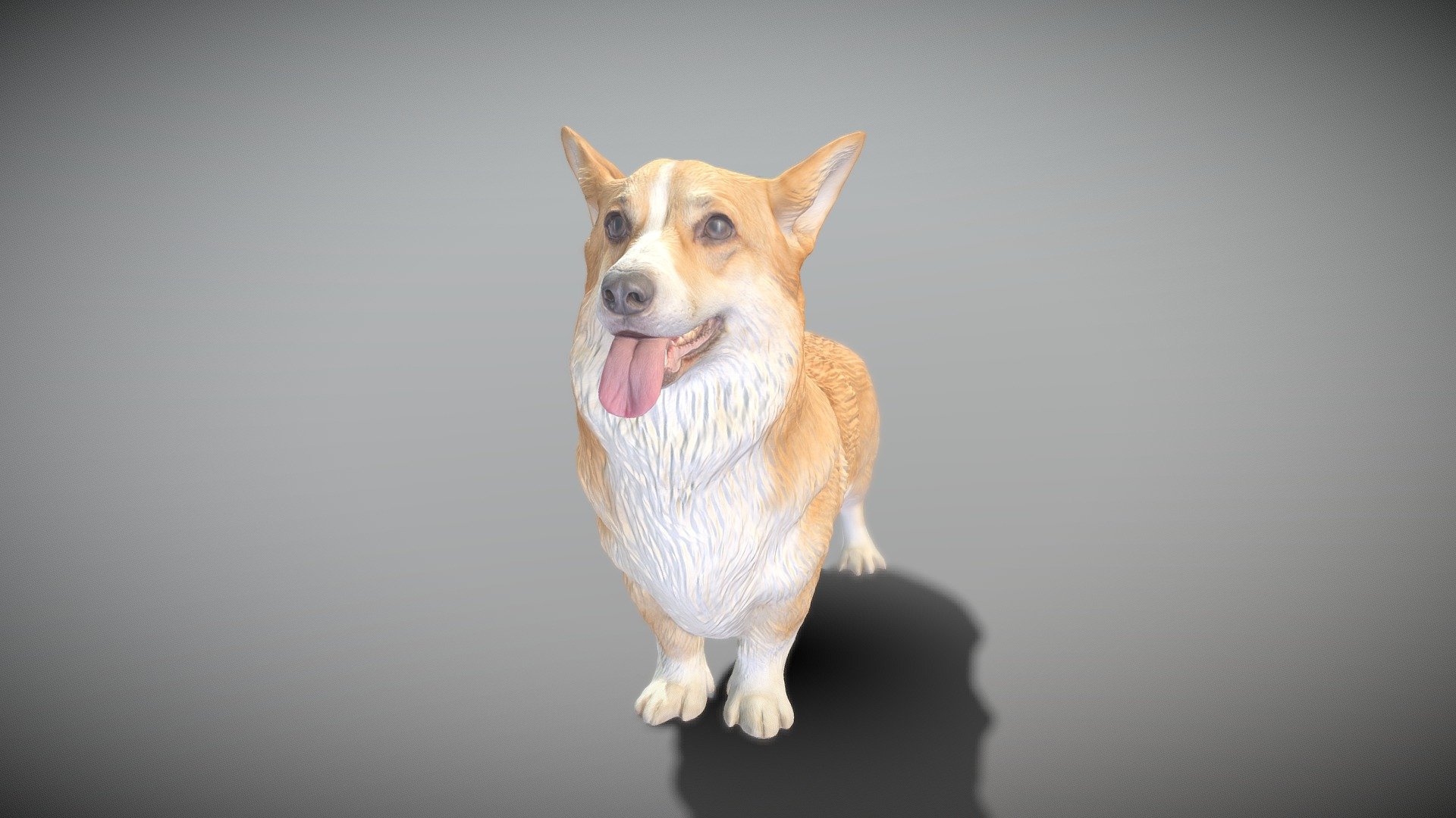 Corgi dog 39 - Buy Royalty Free 3D model by deep3dstudio [fa4a80e ...