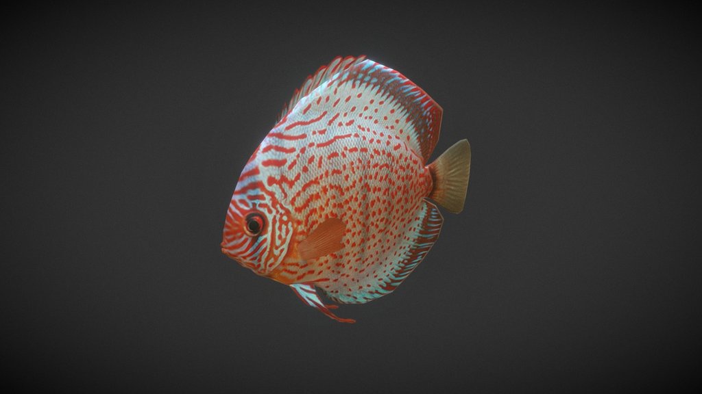Discus - 3D model by YOURS (@double2) [fa4f323] - Sketchfab