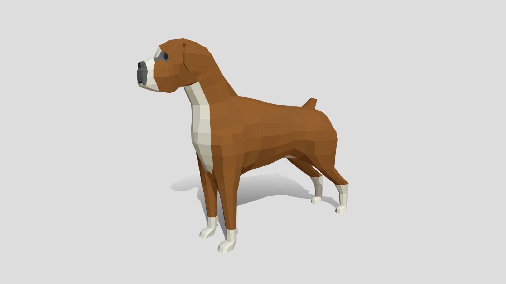 Low Poly Cartoon Boxer Dog - Buy Royalty Free 3D model by chroma3d ...