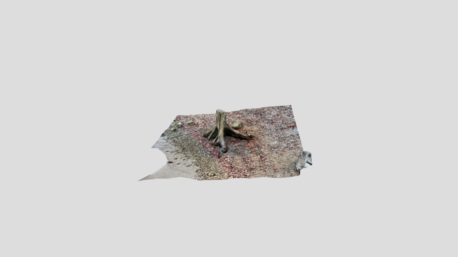 Root - Download Free 3D model by creativemart [fa54fa3] - Sketchfab