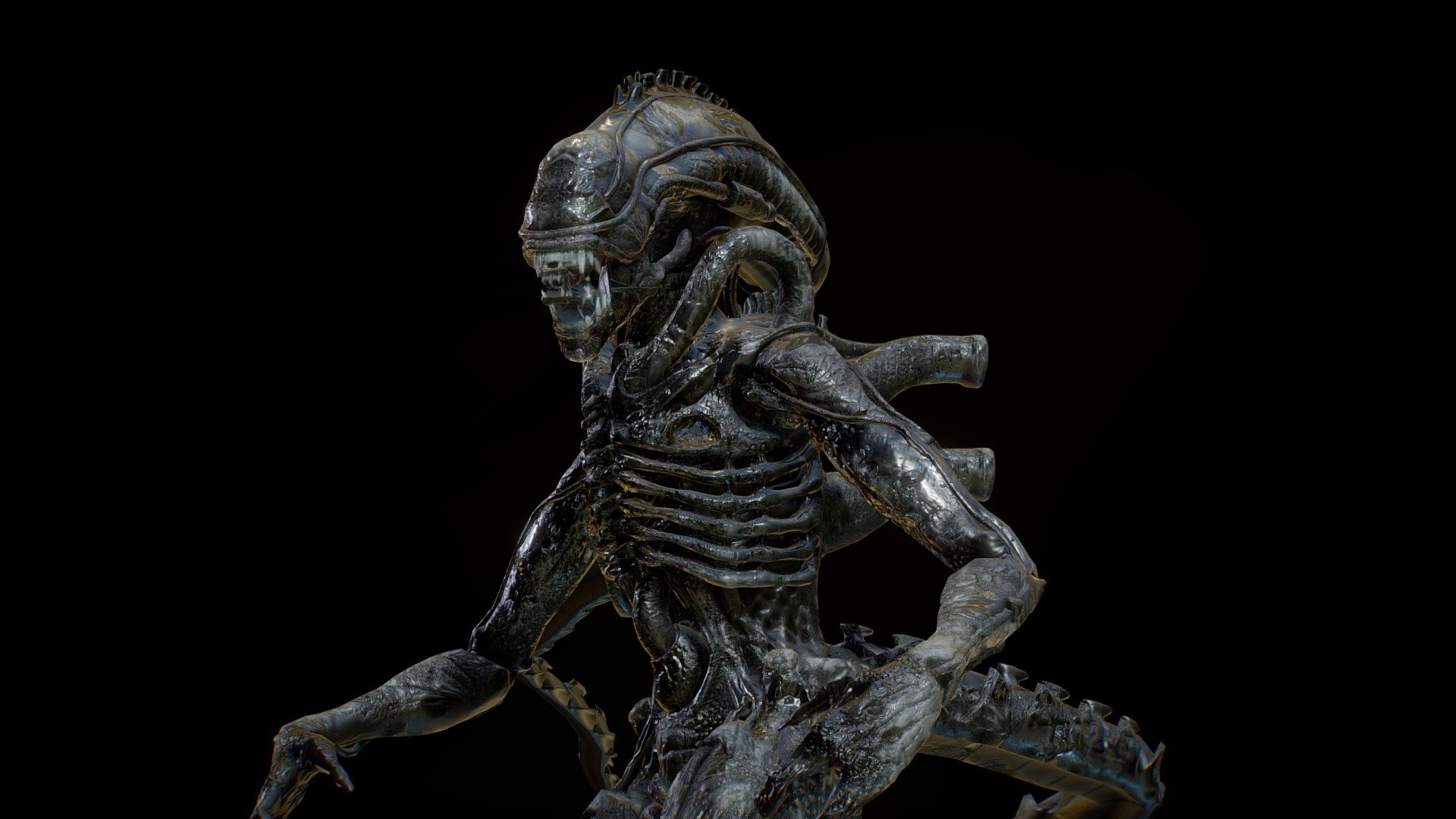 Alien Xenomorph High Detail 3d Model Cgstudio Xenomorph 3D Modelle Zum