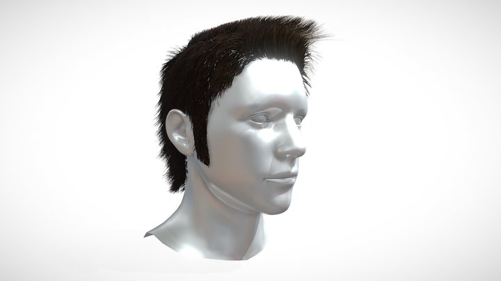 Free-hair 3D models - Sketchfab