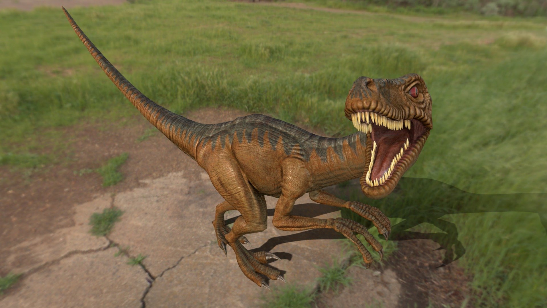 Velociraptor - Download Free 3D model by Affan3 [fa5d59f] - Sketchfab