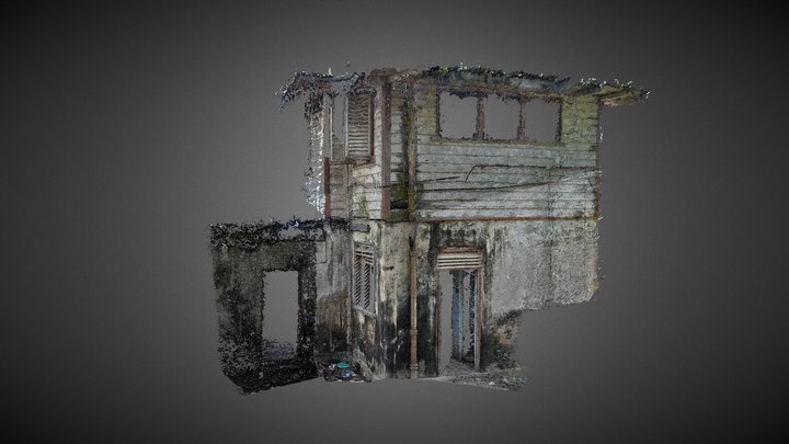 Leprosy 3D models - Sketchfab