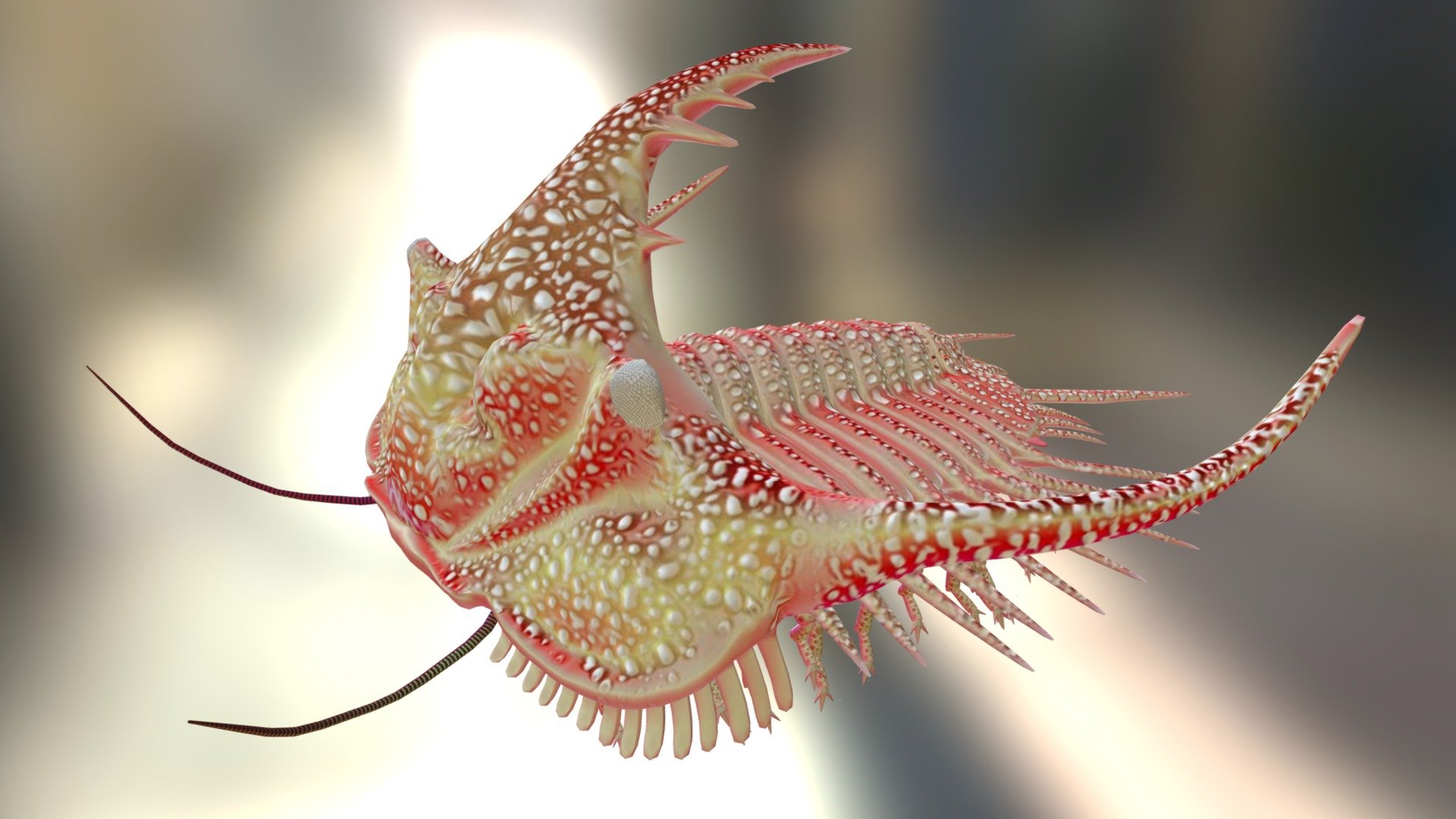 Acidaspis - Buy Royalty Free 3D model by evolution.biologique [fa666b3 ...