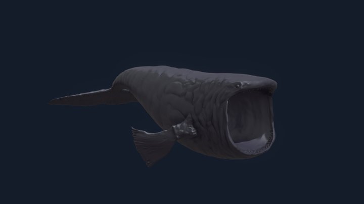 Bloop 3D models - Sketchfab