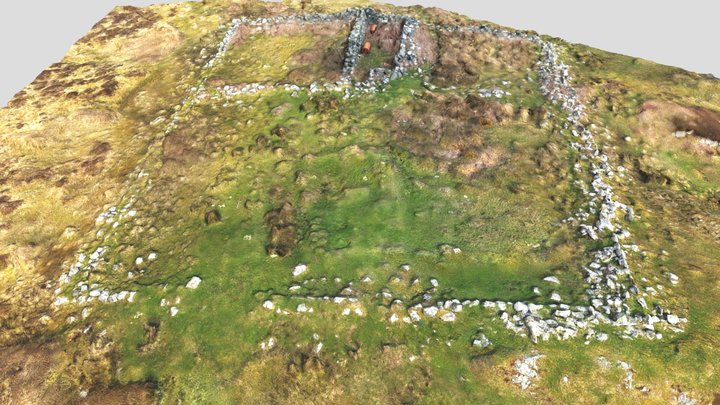Sheep_fank 3D models - Sketchfab