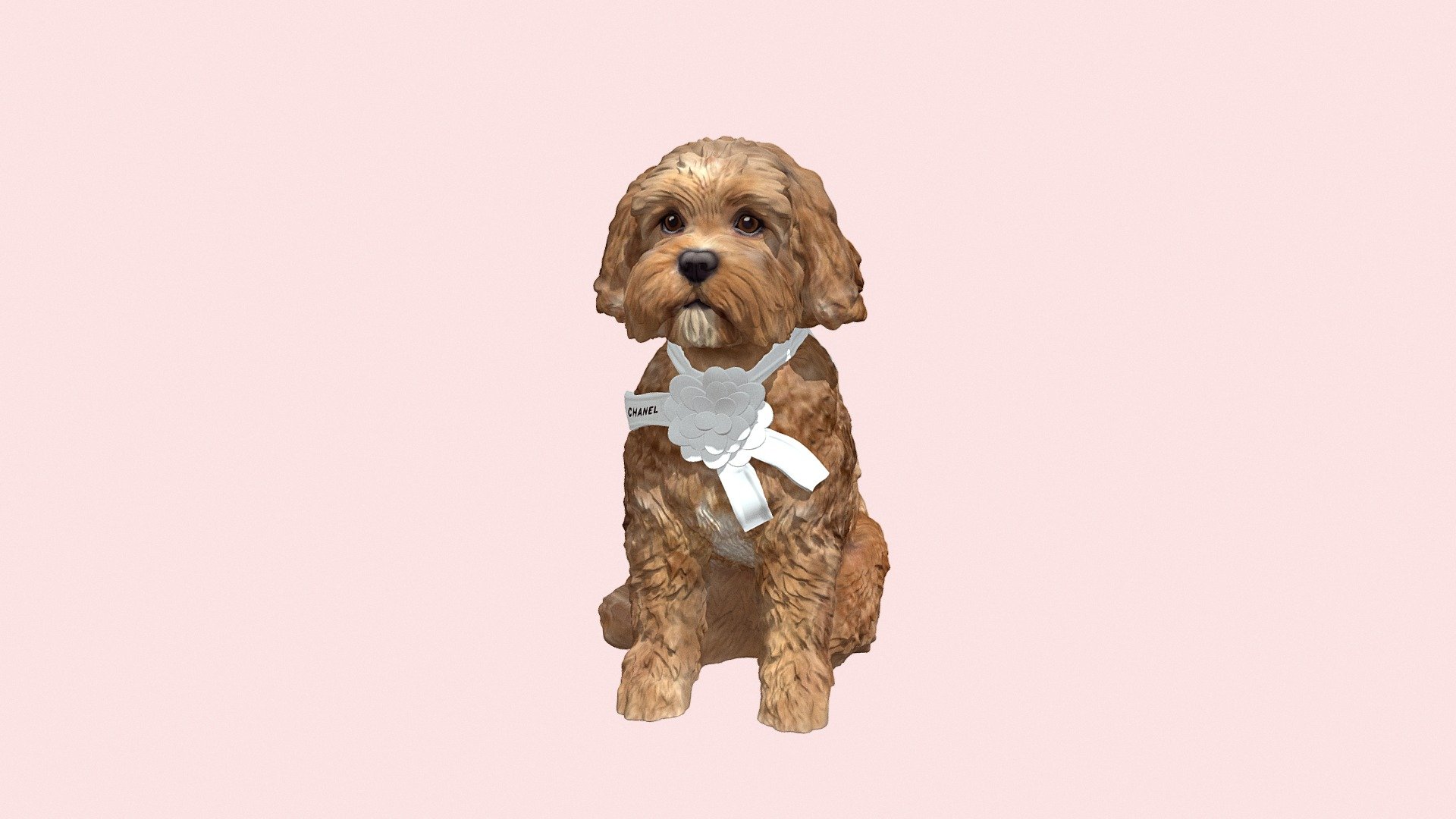 2002015-01 Asta - 3D model by Arty Lobster - Pet Sculptures Made Simple ...