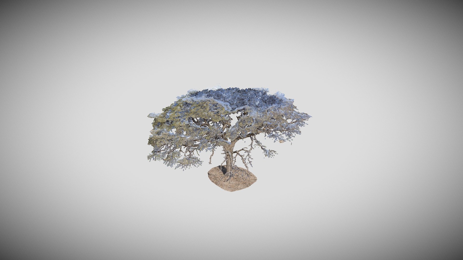 Tree - 3D model by S.Elverdinghe [fa8e19d] - Sketchfab