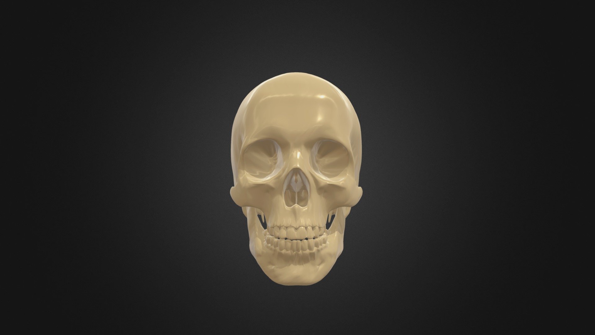 Skull - Download Free 3D model by Davide Specchi (@Davide.Specchi ...