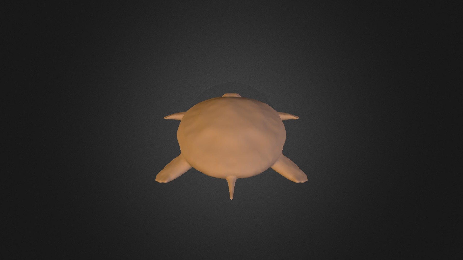 Turtle - 3D model by leopoly [fa9233d] - Sketchfab
