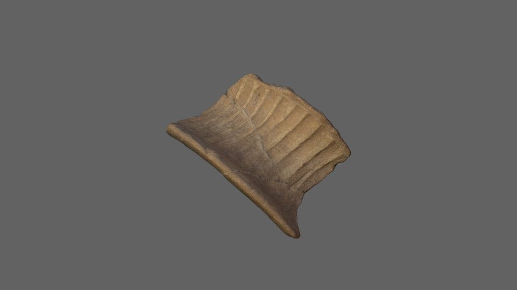 Mapache 48-1-403 - 3D model by mayacitybuilder [fa9b784] - Sketchfab