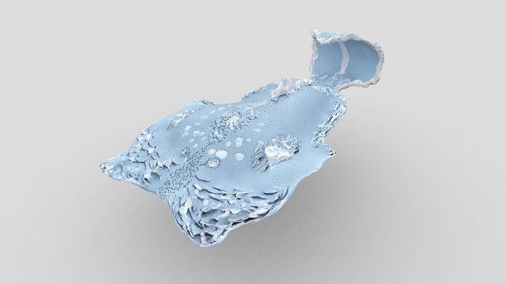 Scum 3D models - Sketchfab