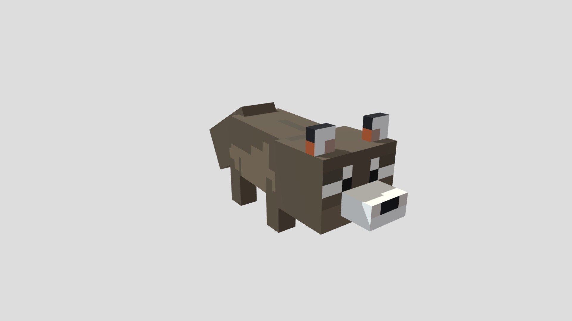 minecraft racoon - 3D model by autumn_engineer [fa9e57e] - Sketchfab