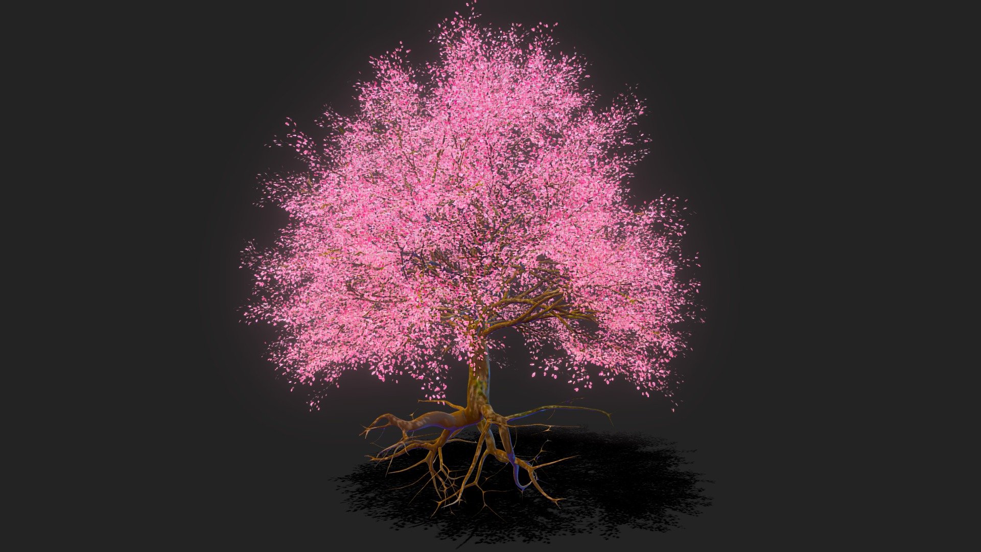 Cherry Tree - Buy Royalty Free 3D model by ahingel [fa9ed35 ...