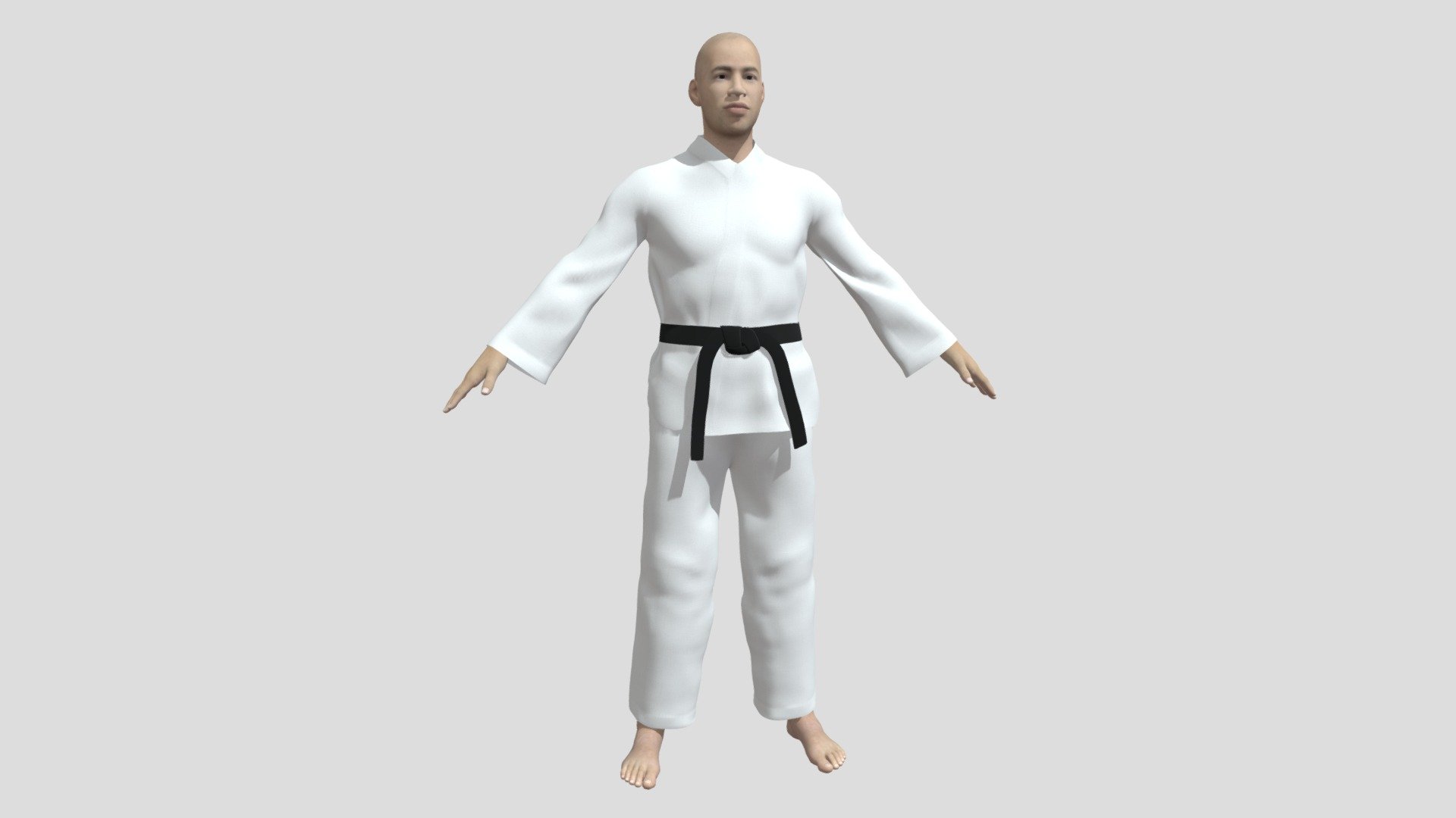 Karate Fighter - Buy Royalty Free 3D model by trish.j2109 [fab1f28 ...