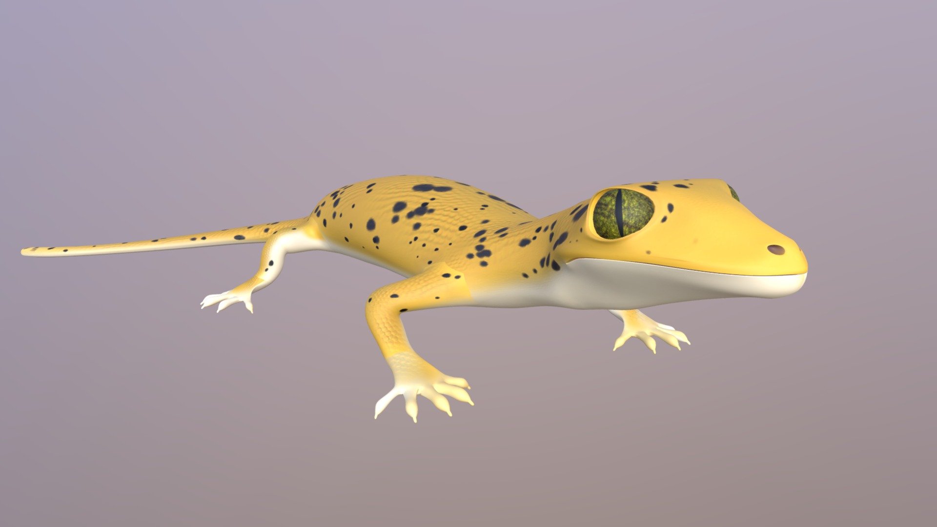 Leopard Gecko - 3D model by Kevin Sørensen (@kicksoren) [fab51fe ...
