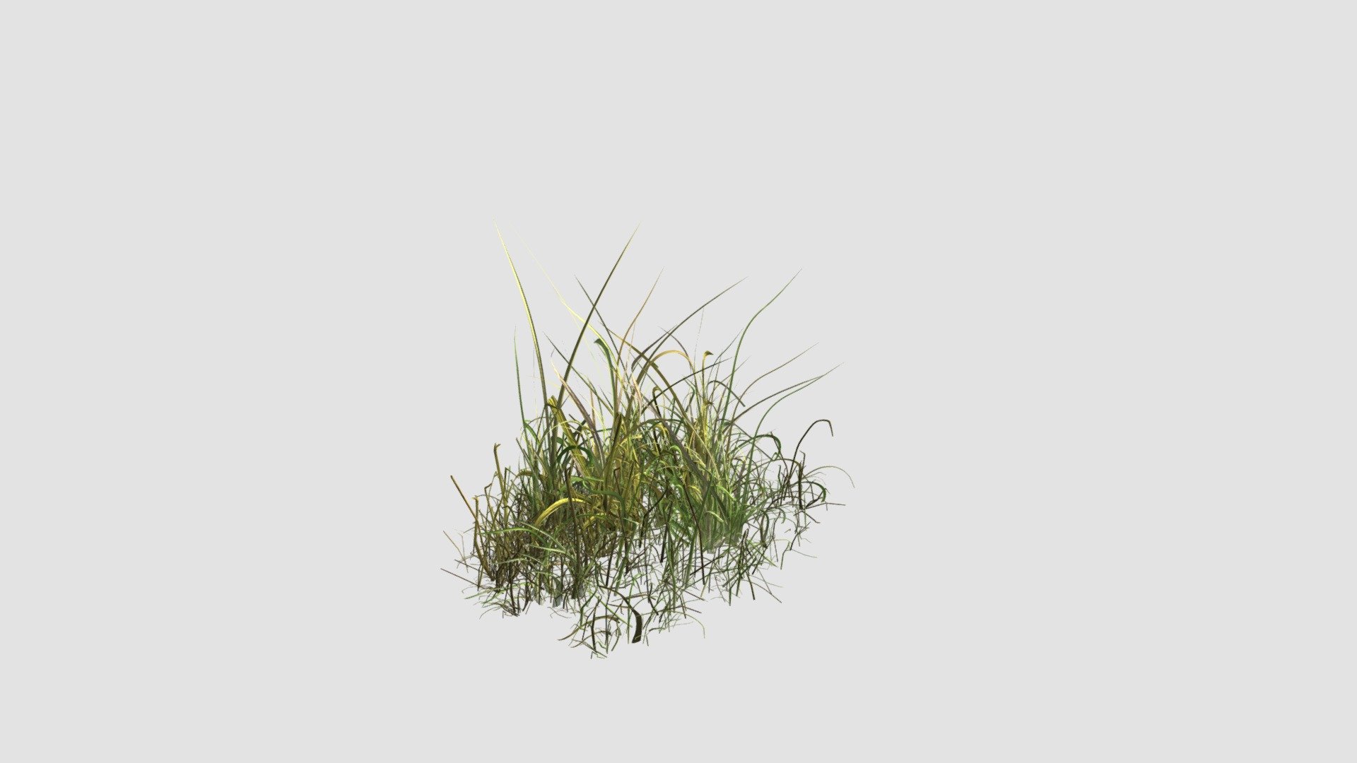 simple grass - Buy Royalty Free 3D model by Evermotion [fabdf00 ...