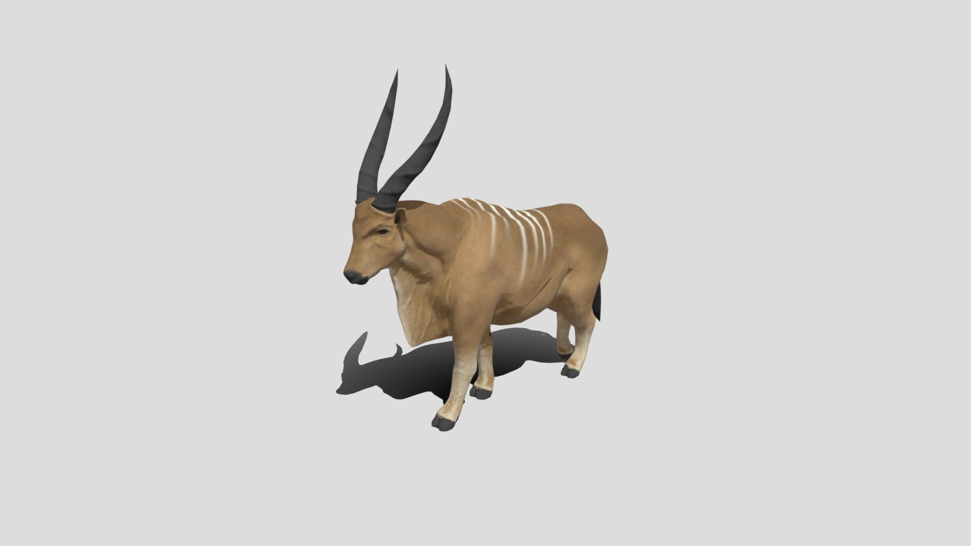 Eland Male Mega Chad - 3D model by ItamarBN [fabe0d4] - Sketchfab