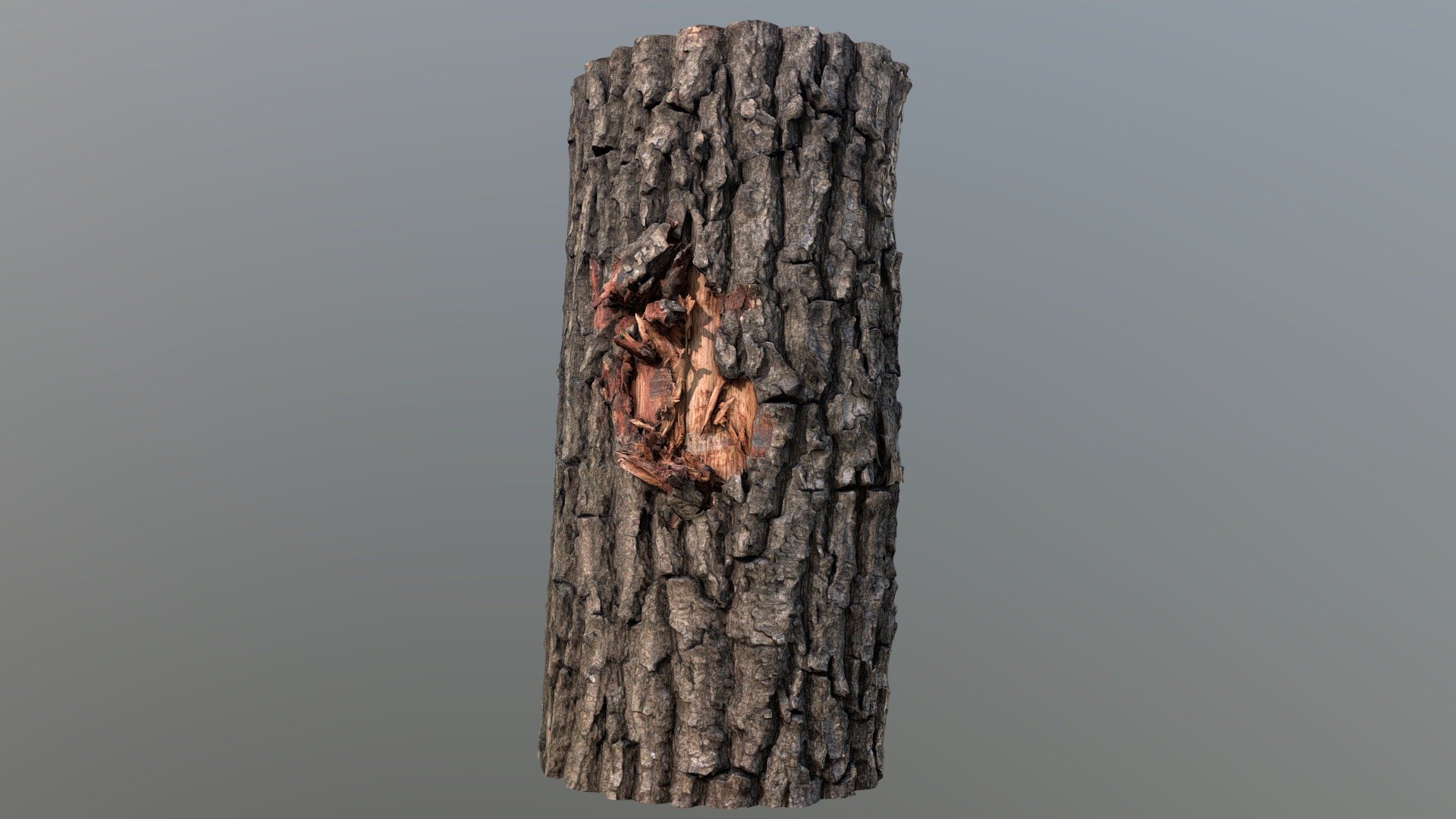 Wood bark - Download Free 3D model by overlord.art [fac5ce5] - Sketchfab