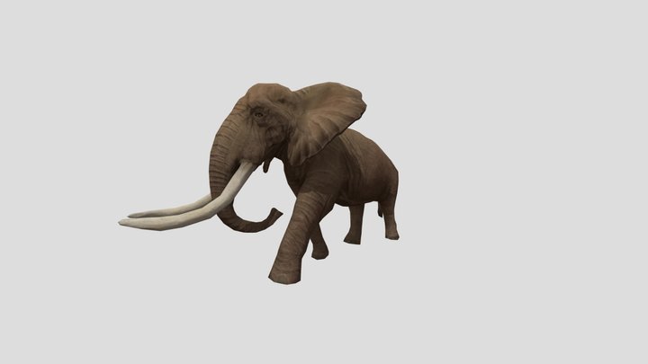 Elephant 3D models - Sketchfab