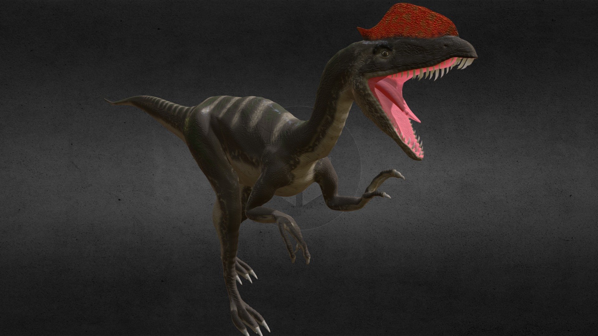 Dilophosaurus - Download Free 3D model by morenostefanuto [fae199e ...