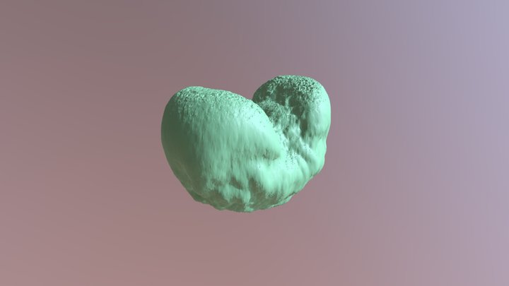3D Pollen Project (@3dpollenproject) - Sketchfab