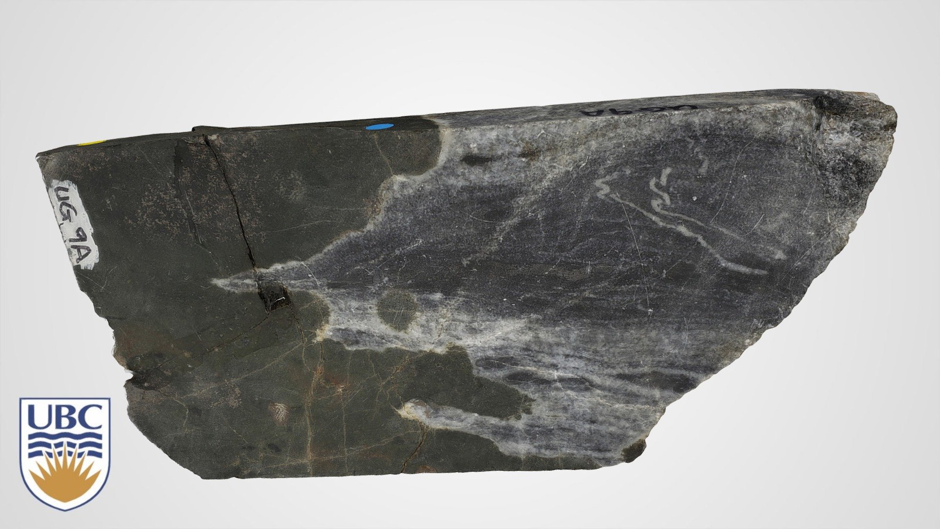 UG9A (Cantung Skarn) - 3D model by Nichole Moerhuis (UBC Geology ...