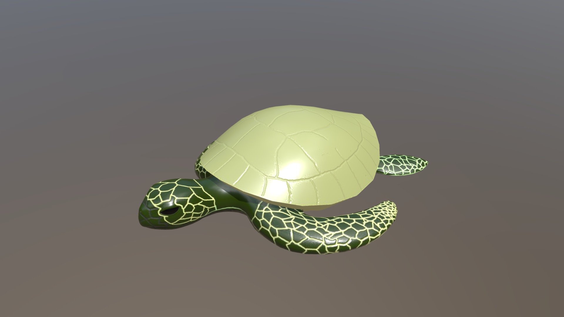 Turtle texturing - 3D model by griffdean [faea269] - Sketchfab
